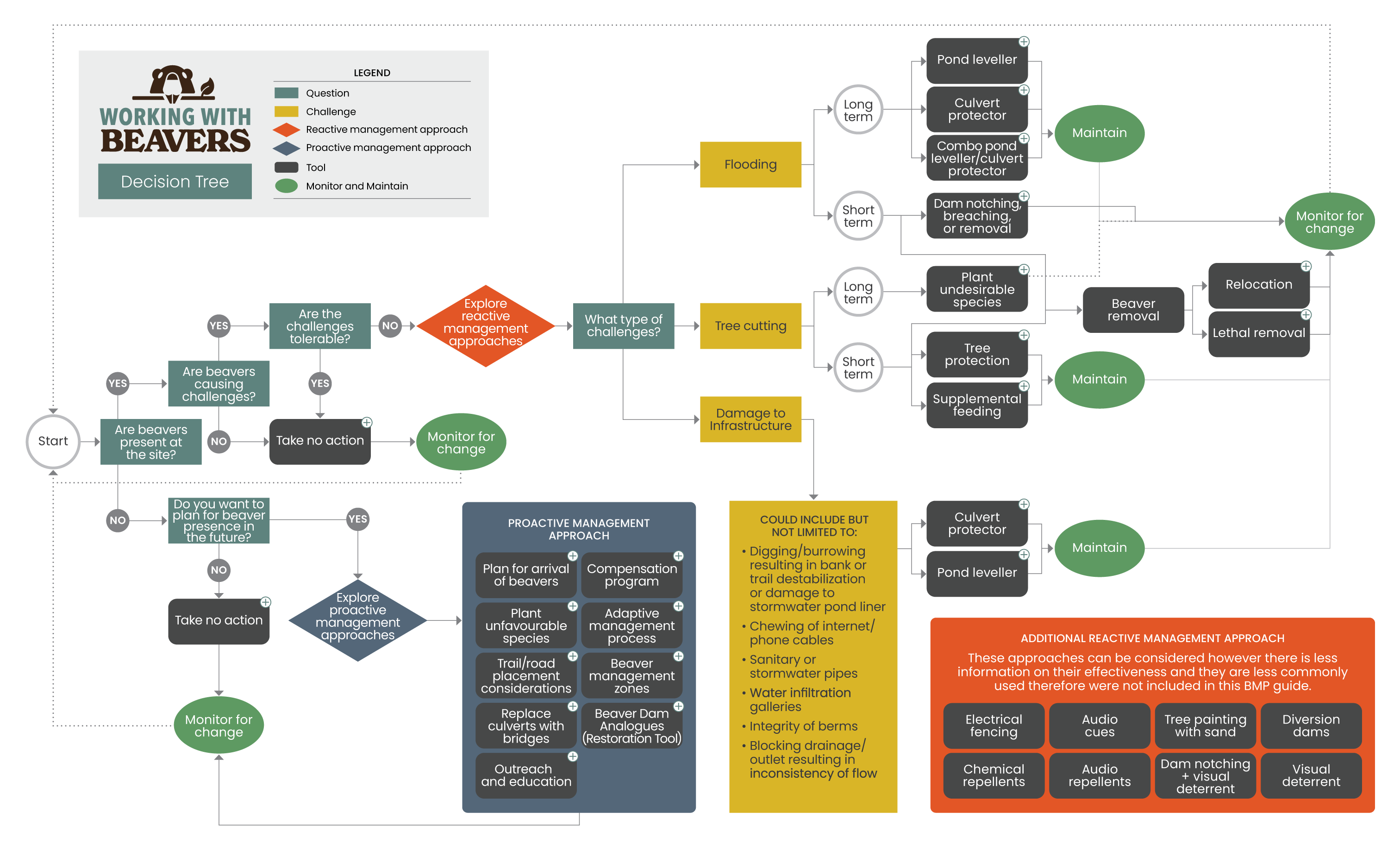 Working with Beavers - Beneficial Management Practices